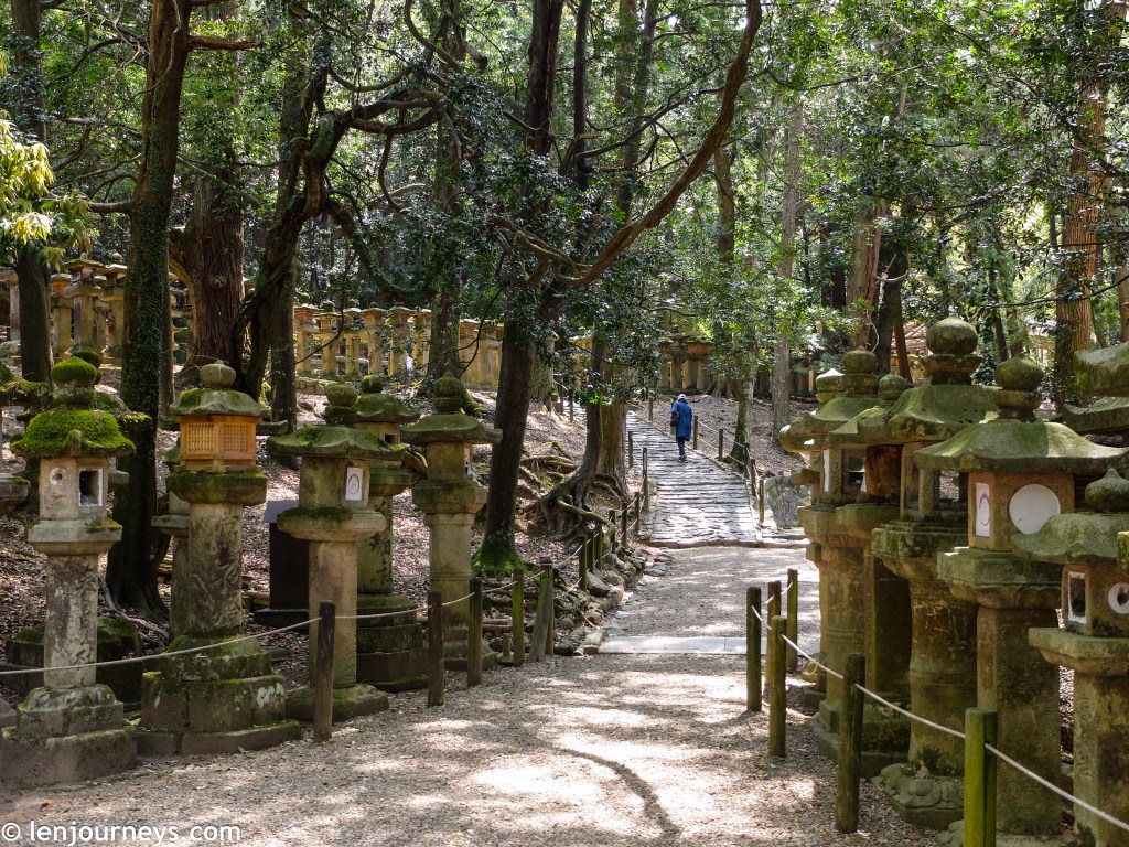 Nara: The Ancient Capital of Japan - LEN Journeys