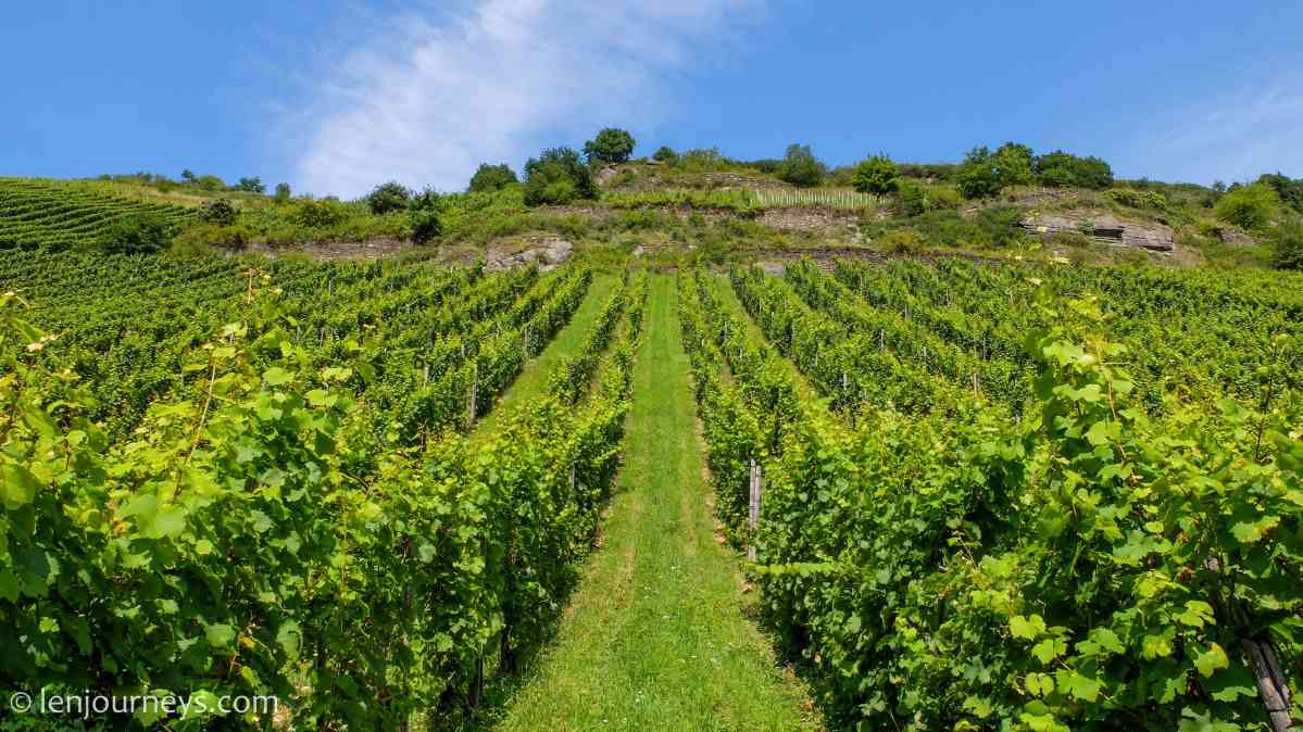 Rhineland-Palatinate: The Land of Root and Wine - LEN Journeys