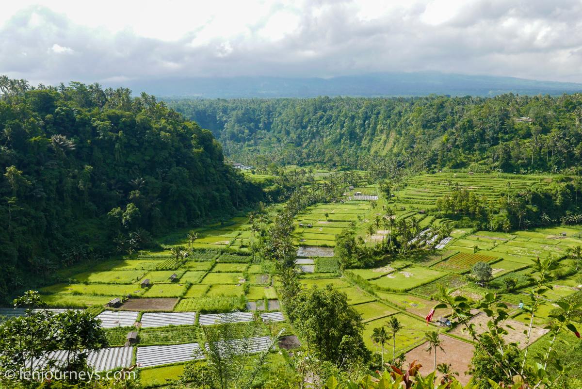 Subak: The Path of Water in Bali - LEN Journeys