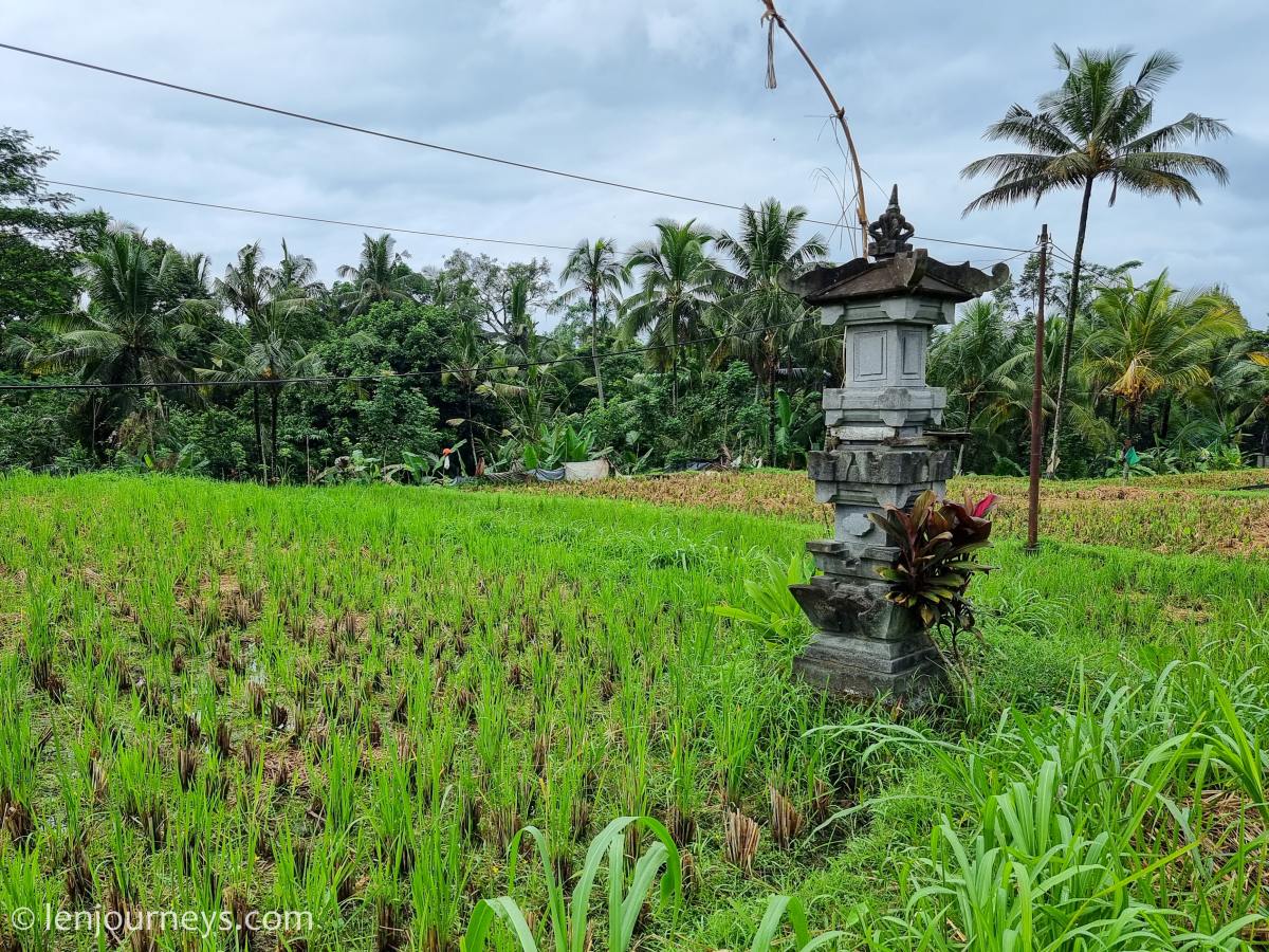 Subak: The Path of Water in Bali - LEN Journeys