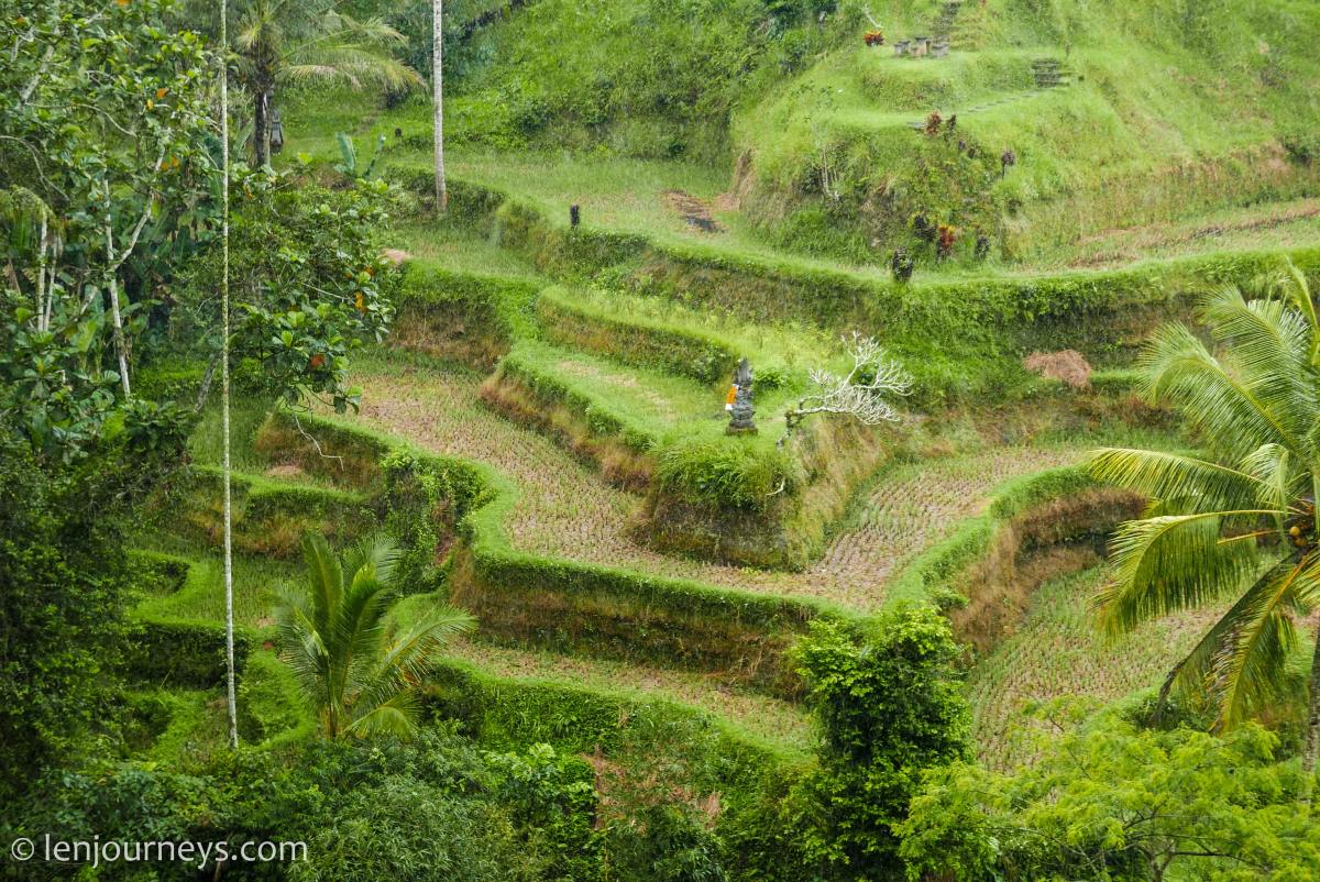 Subak: The Path of Water in Bali - LEN Journeys