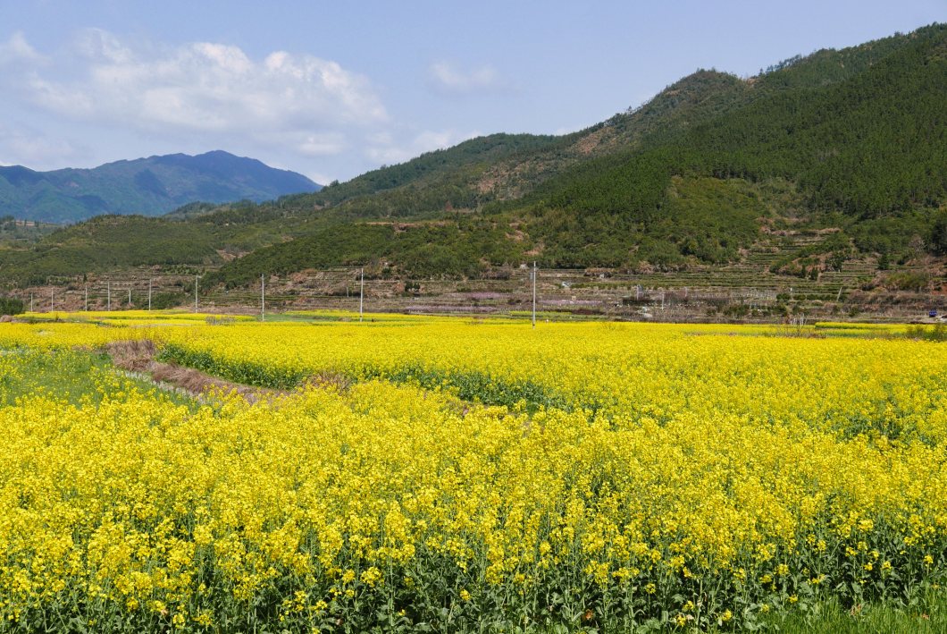 Spring in the Ancient Villages of Anhui - LEN Journeys